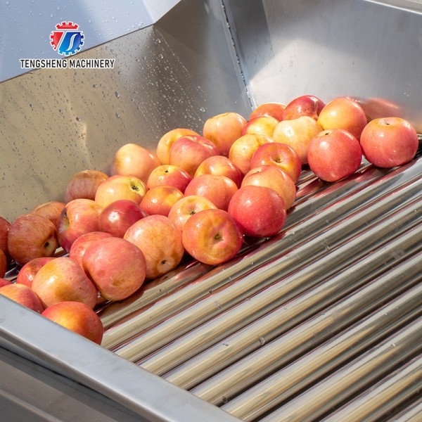 Quality Connected Pipeline Jujube Fruit Sorting Machine Multifunctional for sale