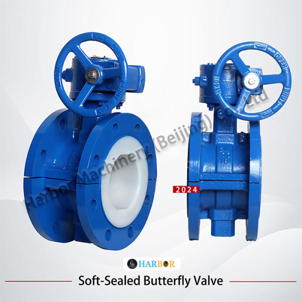 Quality Cast Steel Turbine Fully PTFE-Lined Flanged Butterfly Valve D341F46-16C for for sale