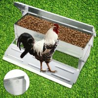 Quality Automatic Timer Chicken Feeder for sale