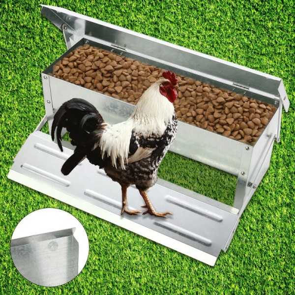 Quality 1.2mm Hot Galvanized 10.4L Automatic Timer Chicken Feeder for sale