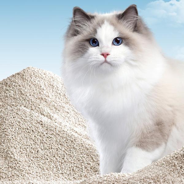 Quality Natural Bulk Cassava Cat Litter Plant Low Dust Clumping Cat Litter for sale