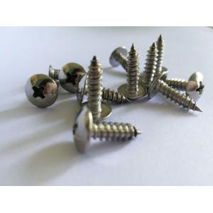 Quality Stainless steel self tapping screw with pan cross head polishing special for sale