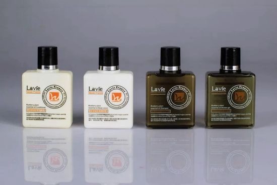 Quality Luxury Disposable Hotel Bathroom Amenities Sets With Shampoo for sale