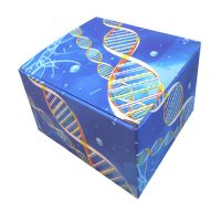 Quality Custom Cheap Single Wall Corrugated Reverse Tuck End Boxes Printing for sale