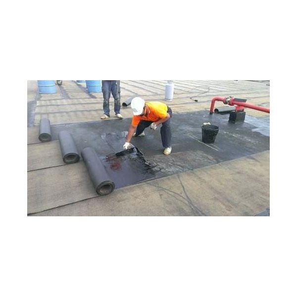 Quality SBS/APP Plastic Elastomer Modified Asphalt Waterproof Membrane for Roof and for sale