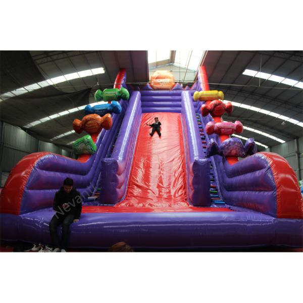 Quality PVC Accessory Packing Bag Included Design Giant Dry Inflatable Bouncer Slide For for sale