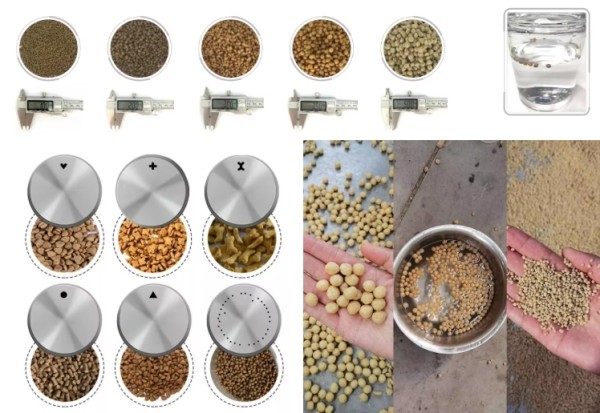 Fish Feed Pellet Buoyancy Test
