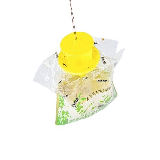 Quality Power Source None Sturdy Outdoor Hanging Fly Catcher Disposable Fly Fruit Trap for sale