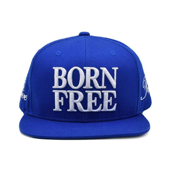 Quality BSCI Factory Custom Hat Snapback 3d Embroidery Snap Back Caps for sale