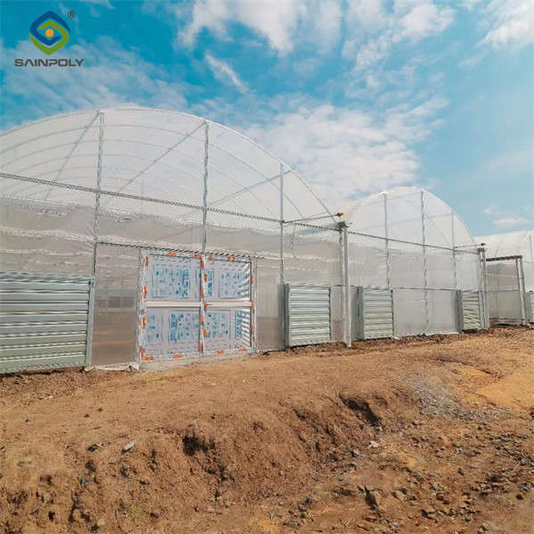 Quality High Performance Commercial Greenhouses 30m/50m/60m Or Customized Length for sale