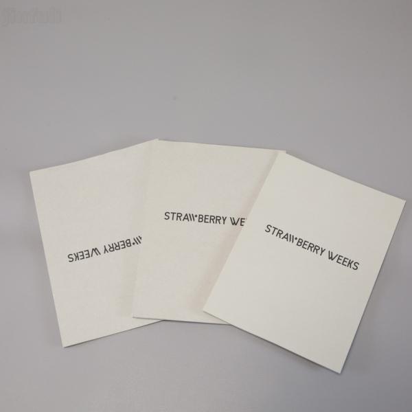 Quality Printing Folded Custom Mini Booklet Products Guidelines Print Instruction for sale