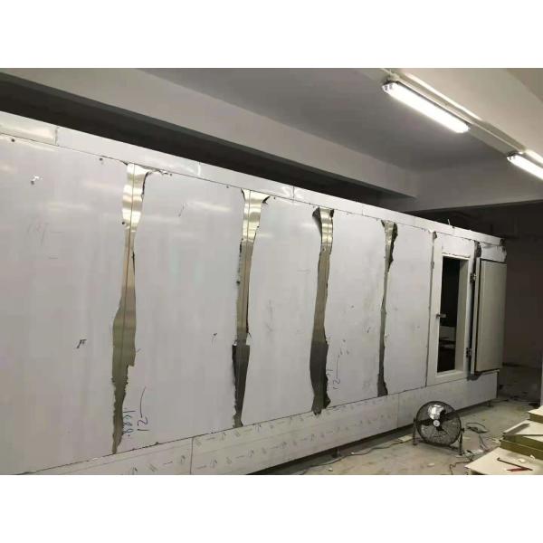 Quality 250kg/H Blast Tunnel Freezer for sale