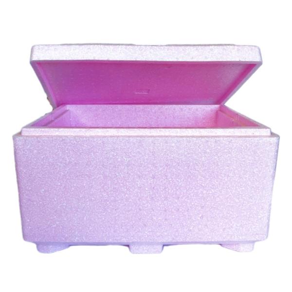 Quality Lightweight Non-Toxic Anti Mold Waterproof Logistic EPP Insulation Box for sale