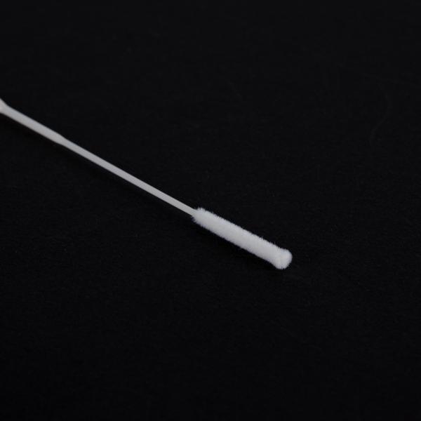 Quality flocking tip 20mm Virus Disposable Collection Swab break point 80mm for sale