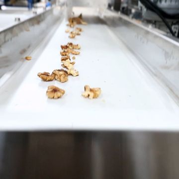 Quality Stainless Steel Food Grade Walnut Shelling Machine 380V 2 Tons Output for sale