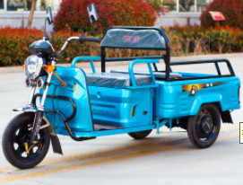 Quality 48V - 60V 500W Adult Small Electric Cargo Tricycle Scooter Family Use for sale
