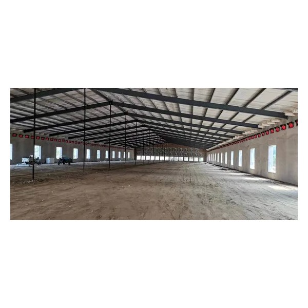 Quality Q235B Q355B Steel Poultry House Prefabricated Hen Farm House Anti Corrosion for sale