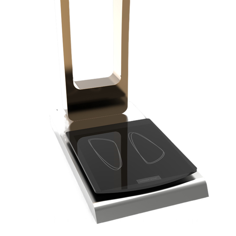 Quality User-Friendly 0.1kg Division Coin Operated Baggage Weighing Scale for Hotel for sale