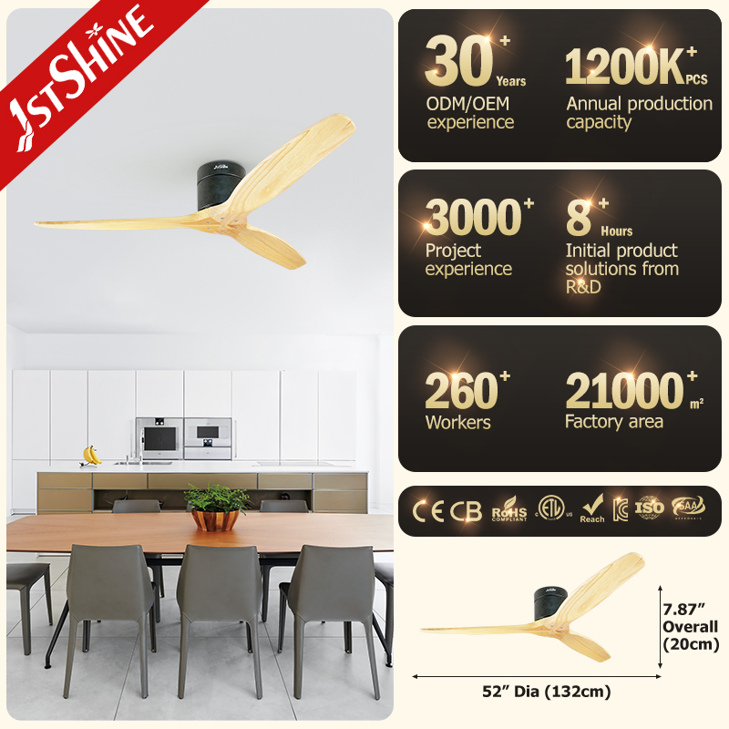 ceiling fan
