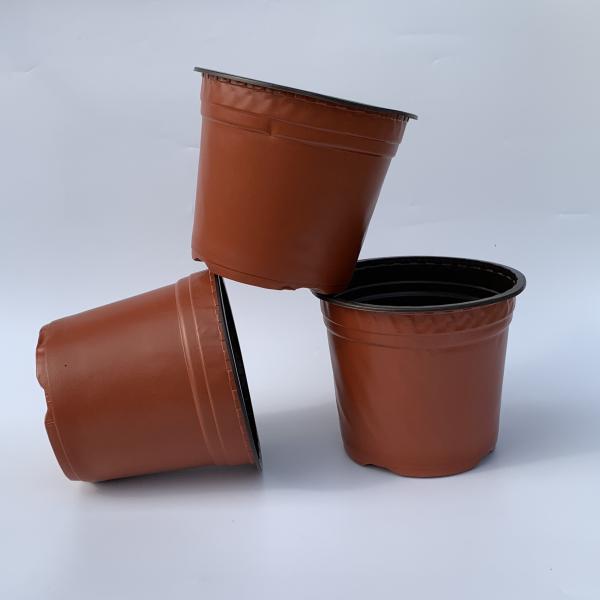 Quality Soft Thickened Edge PP 3 Gallon Plastic Flower Pots Bottom Drainage for sale
