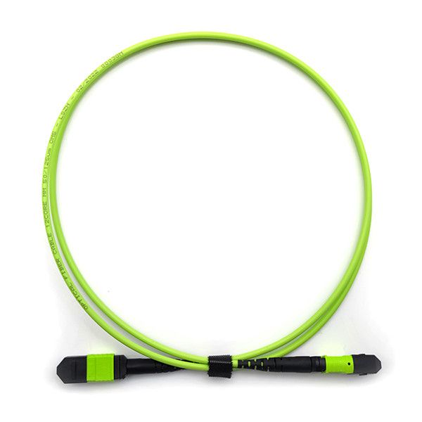 Quality 12 Fibers MPO Trunk Cable Female To Female Polarity A OM5 OFNP Lime Jacket for sale