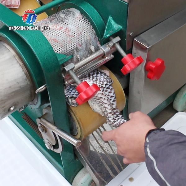 Quality Industrial Stainless Steel Electric Fish Extraction Machine Food Machinery for sale