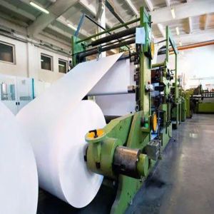 Quality Elevate your packaging with customized size offset paper printing paper from for sale