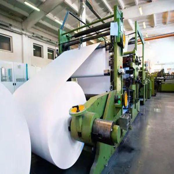 Quality Elevate your packaging with customized size offset paper printing paper from for sale
