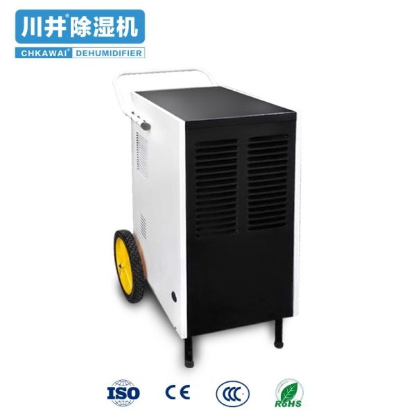 Quality Compressor Technology Moisture Absorber Dehumidifier DH-801B with Hot Stamping for sale