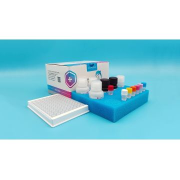 Quality Rapid Nitrofurantoin (AHD) ELISA Test Kit High Recovery Low Detection Limit for sale