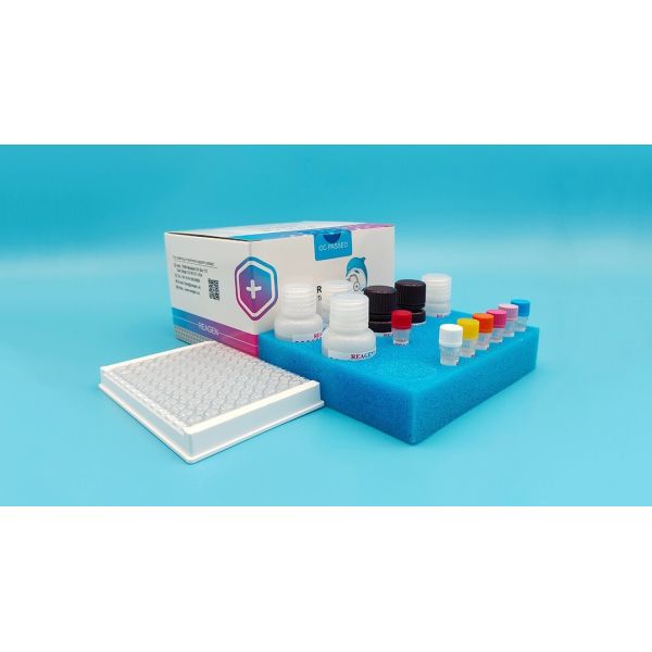Quality Rapid Nitrofurantoin (AHD) ELISA Test Kit High Recovery Low Detection Limit for sale