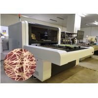 Quality 2540DPI Computer To Screen Exposing Machine for sale