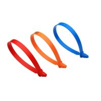 Quality 250mm Length Tamper Evident Self-locking Plastic Security Truck Seal for Cargo for sale