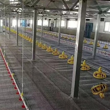 Quality Linear Feeder Poultry Automatic Pan Feeding System for sale