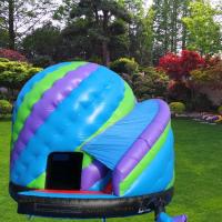 Quality Commercial Inflatable Bouncy Castle with Customized Size and Bluey Bounce House for sale