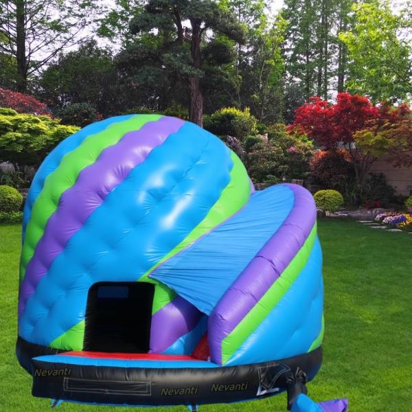 Quality Commercial Inflatable Bouncy Castle with Customized Size and Bluey Bounce House for sale