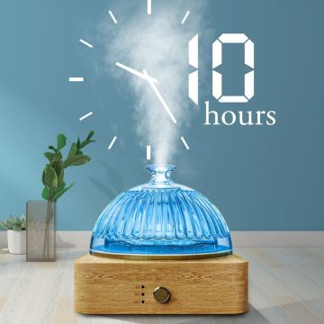 Quality Solid Wood Glass Aroma Diffuser▕ DN-839 for sale