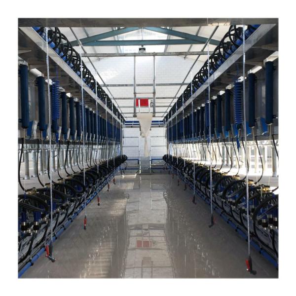 Quality Large Herringbone Electric Dairy Automatic Milking Parlor For Cows for sale