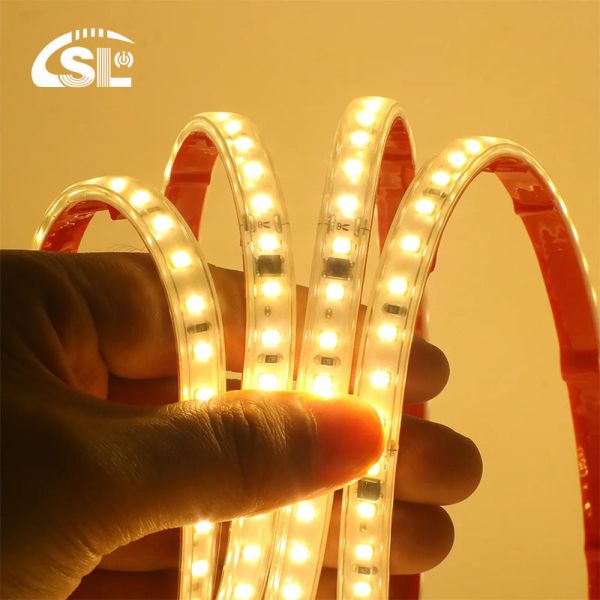 Quality White 10mm 240leds 6500K Electroplate IP44 SMD2835 Led Strip Light High volt 110v220v for sale
