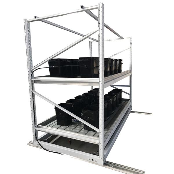 Quality 5*8ft 2*2ft Microgreen Hydroponic Growing Racks Medicinal Herbs Hydro Grow for sale