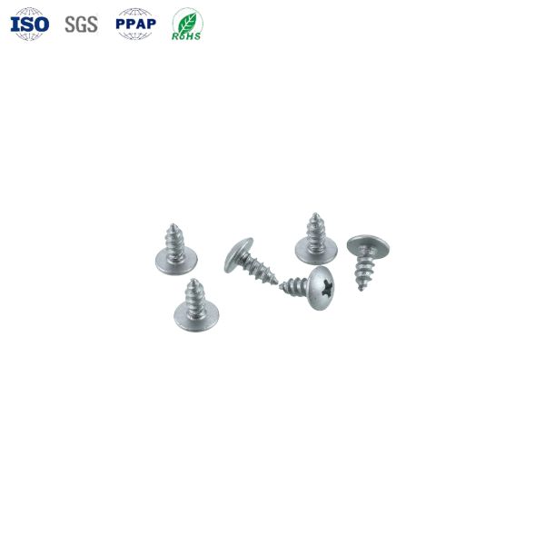 Quality Customized Dacromet Coated Phillips Pan Head Self-Tapping Screws with Point Tail for sale