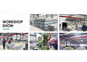 China Factory - Shandong Lisent Agricultural Technology Co., Ltd.