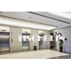 Quality 1500kg 1600kg 2000kg Passenger Elevator 2m/s 4m/s Speed For Hotel Residential for sale