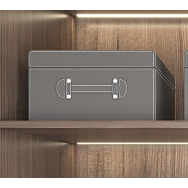 Quality Lightweight Sturdy Wardrobe Organizer Storage Boxes Multi Purpose for sale