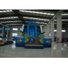 china Funny Sea Theme Giant Inflatable Water Slide , Kids Inflatable Water Slide 11 X