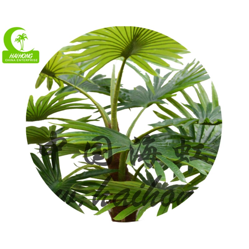Small Palm Trees