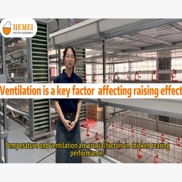 Quality Ventilation is a key factor affecting raising effect for sale