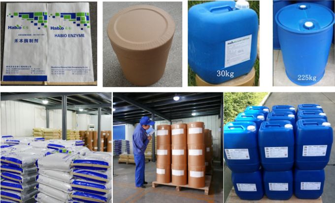 CAS 9001-37-0 GOD Glucose Oxidase 10000U/G For Feed Industry 0