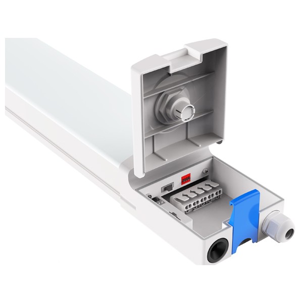 Quality D4 LED Moisture-proof Light with Ready for Emergency and Motion Sensor 3-phase for sale