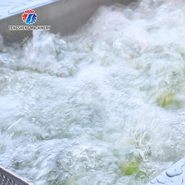 Quality Citrus cleaning production line Fruit Orange Wash Washer Washing Cleaning Dryer for sale